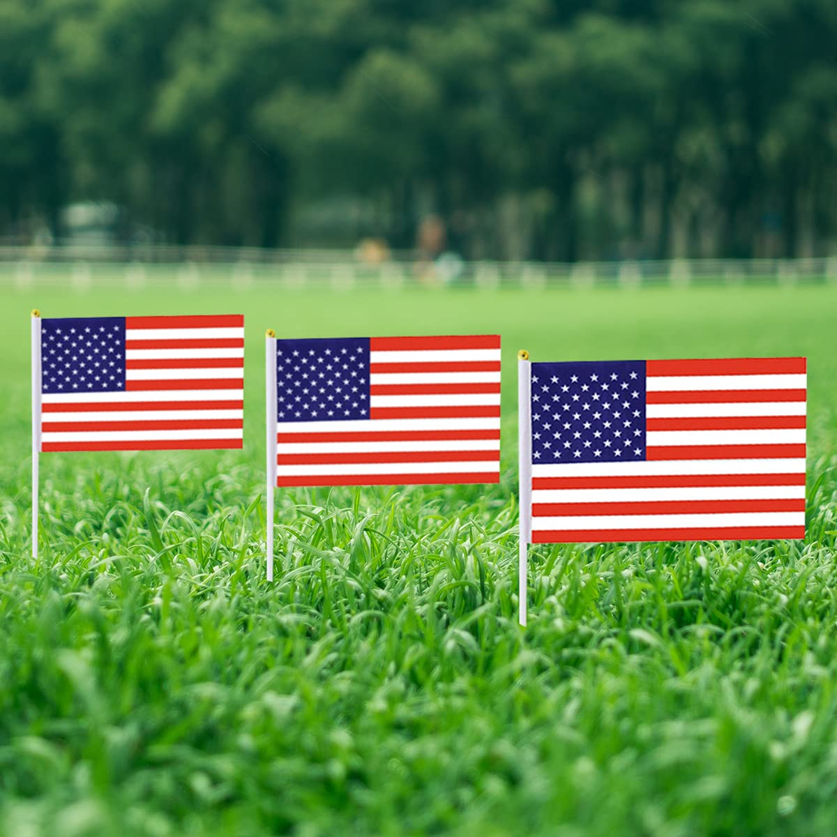 2 Pcs Hand Waving Small Flag Portable American Flag – 4FunGift